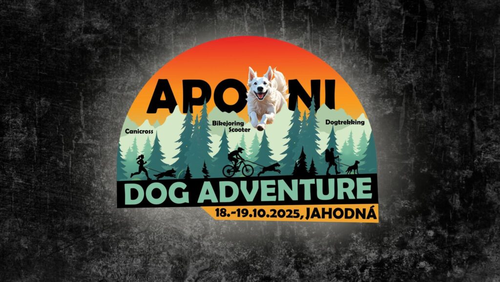 Nezmeškajte Aponi Dog Adventure a užite si víkend plný psej lásky – EASTMAG